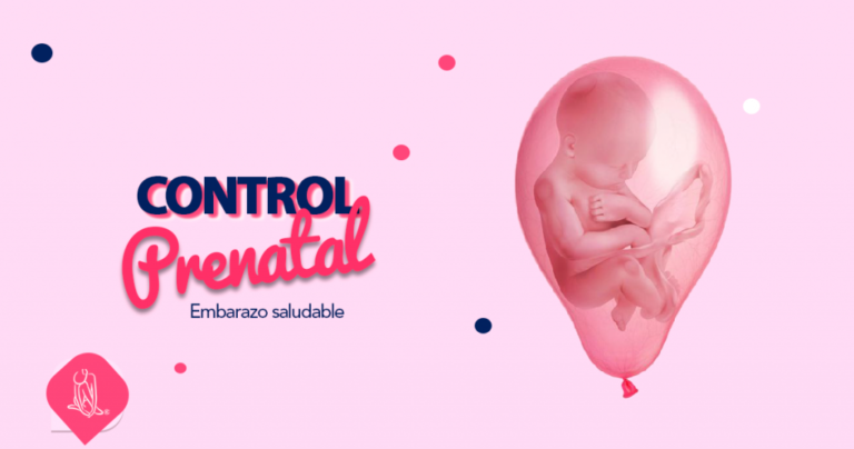 Control Prenatal: ¡Comienza cuanto antes! Tu Guía Completa – Dra. Ana ...